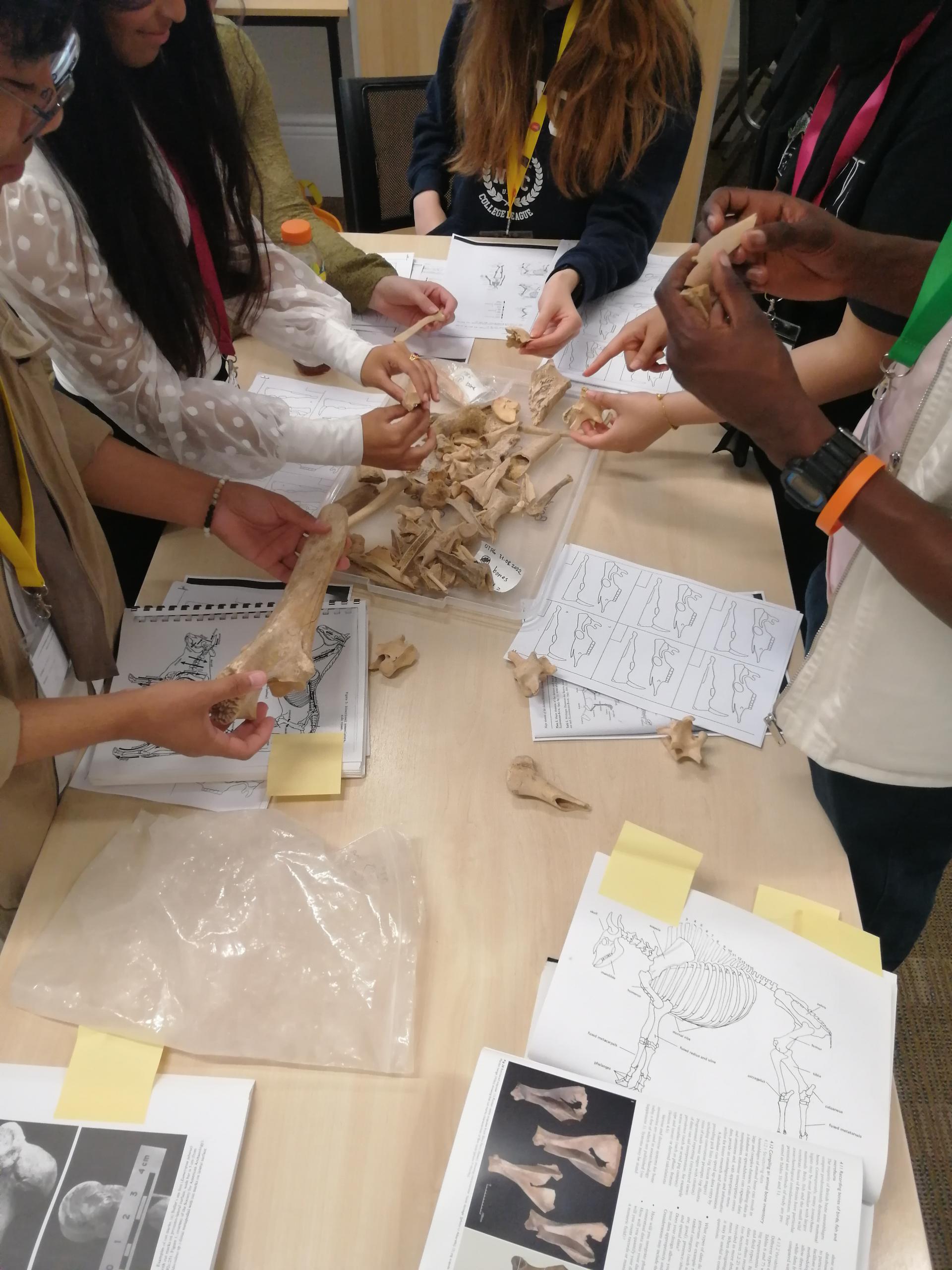 Our UNIQ Summer School for Archaeology and Anthropology 2023 is in full ...